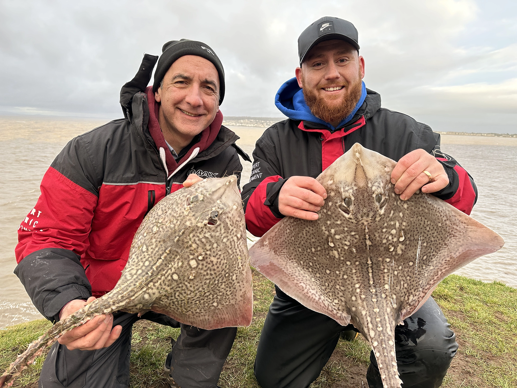 Species of the Month: Thornback Ray (Raja clavata)